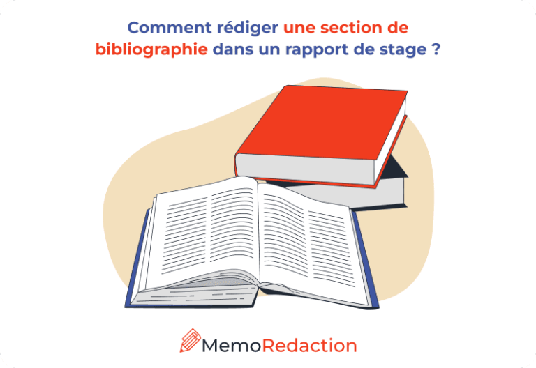 Annexes d'un rapport de stage : définition et exemples 📂
